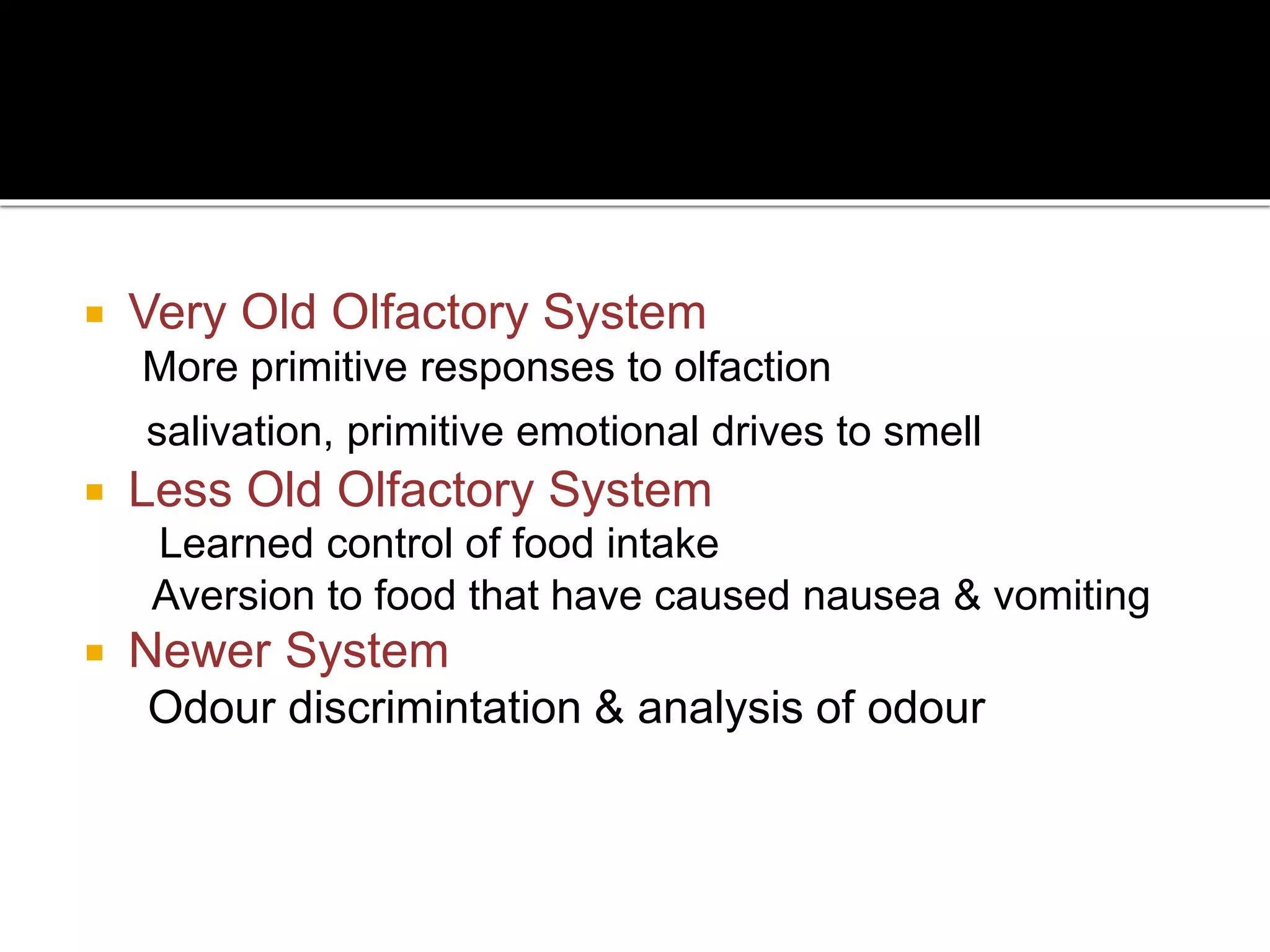 Physiology and theories of olfaction | PPTX