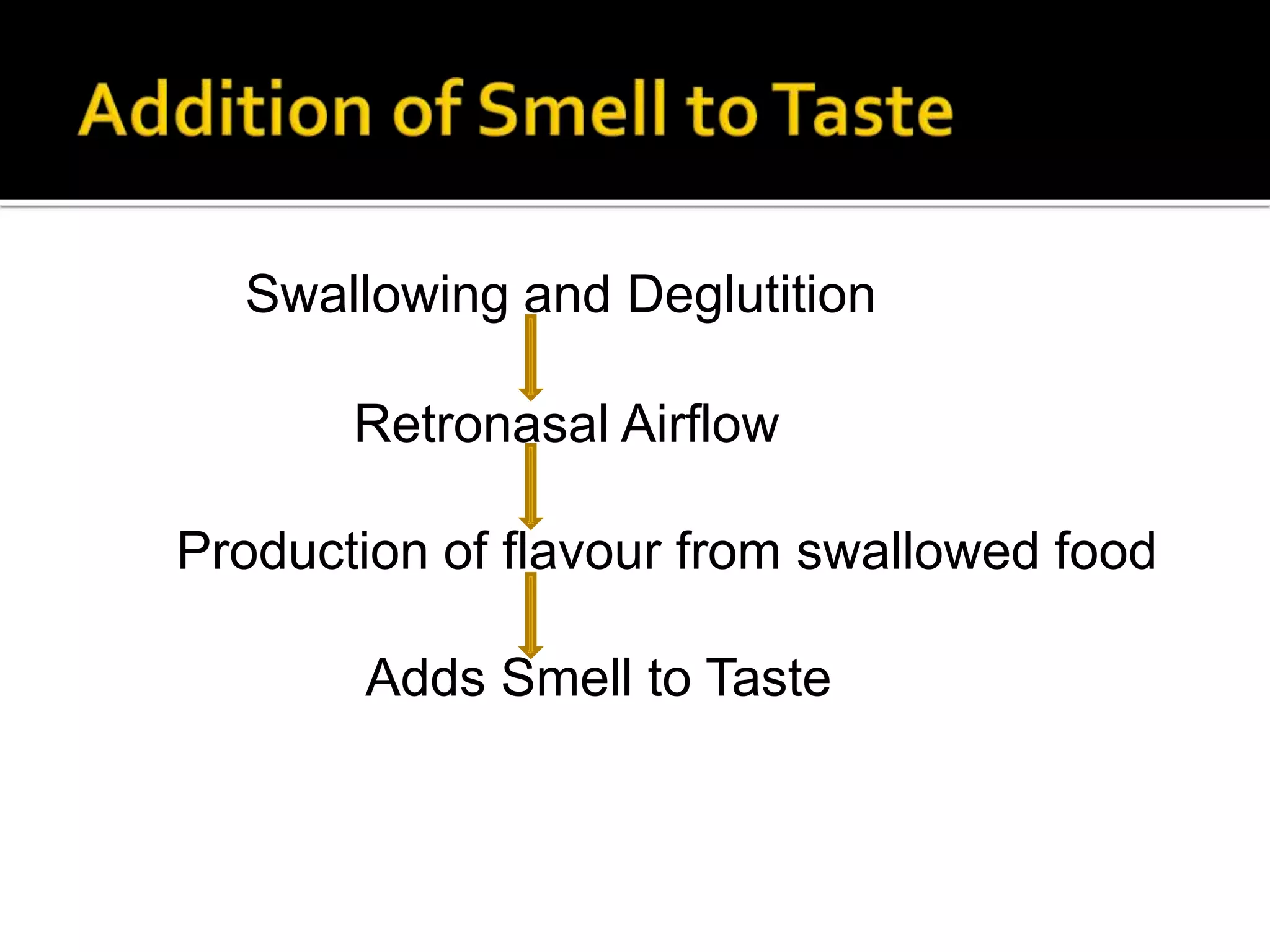 Physiology and theories of olfaction | PPTX
