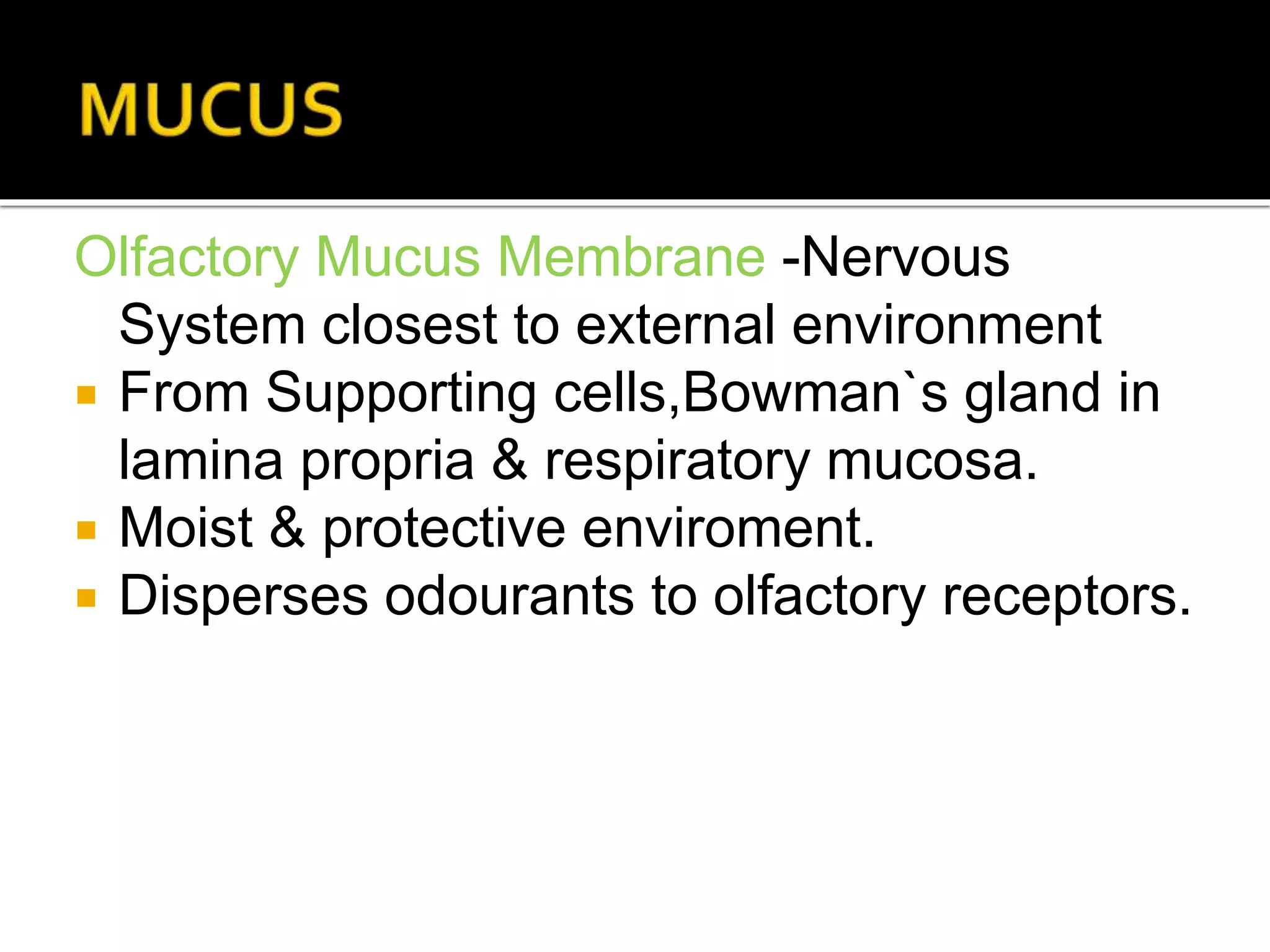 Physiology and theories of olfaction | PPTX