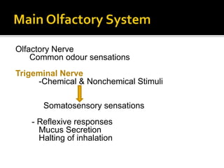 Physiology and theories of olfaction | PPTX