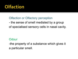 Physiology and theories of olfaction | PPT