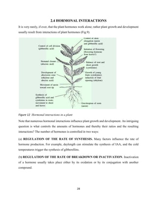 role of plant hormones | PDF