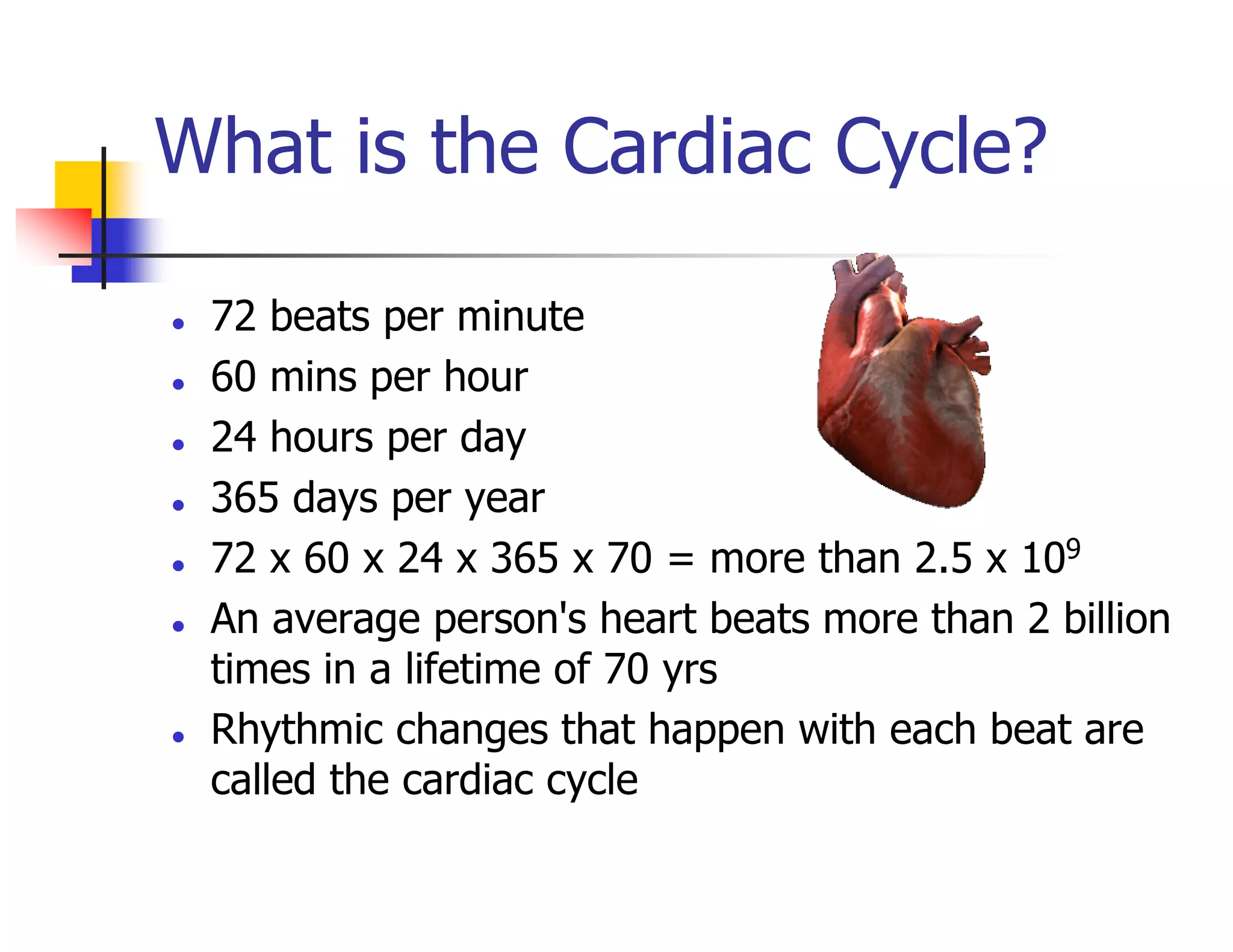 cardiac cycle,heart sounds and ECG | PDF