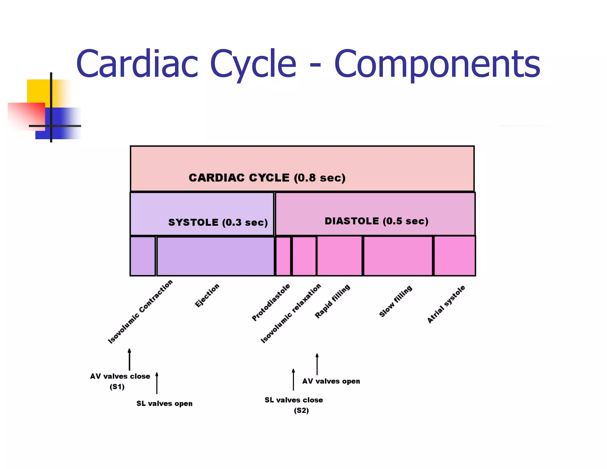 cardiac cycle,heart sounds and ECG | PDF