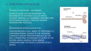 Physiology Ca++ Homeostatis | PPTX | Endocrine and Metabolic Diseases ...