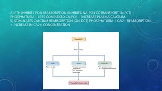 Physiology Ca++ Homeostatis | PPTX | Endocrine and Metabolic Diseases ...