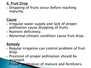 Physiologycal disorders of annonaceous fruits | PPTX