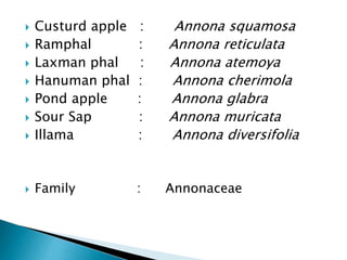 Physiologycal disorders of annonaceous fruits | PPTX
