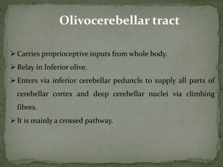 Cerebellar connections - Physiology | PPTX