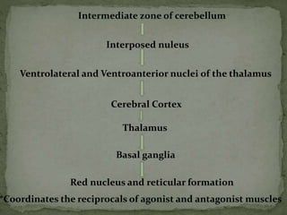 Cerebellar connections - Physiology | PPTX