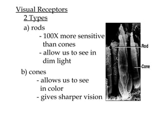 Physiology CH 10 lecture notes | PPT