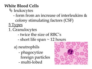 Physiology ch 12 lecture notes | PPT
