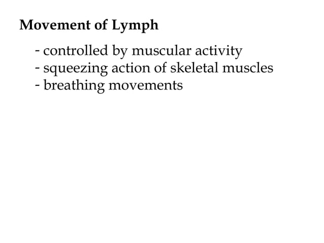 Physiology CH 14 lecture notes | PPT | Biological Sciences | Science