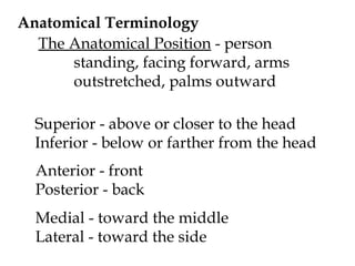 Physiology CH 1 Lecture Notes | PPT