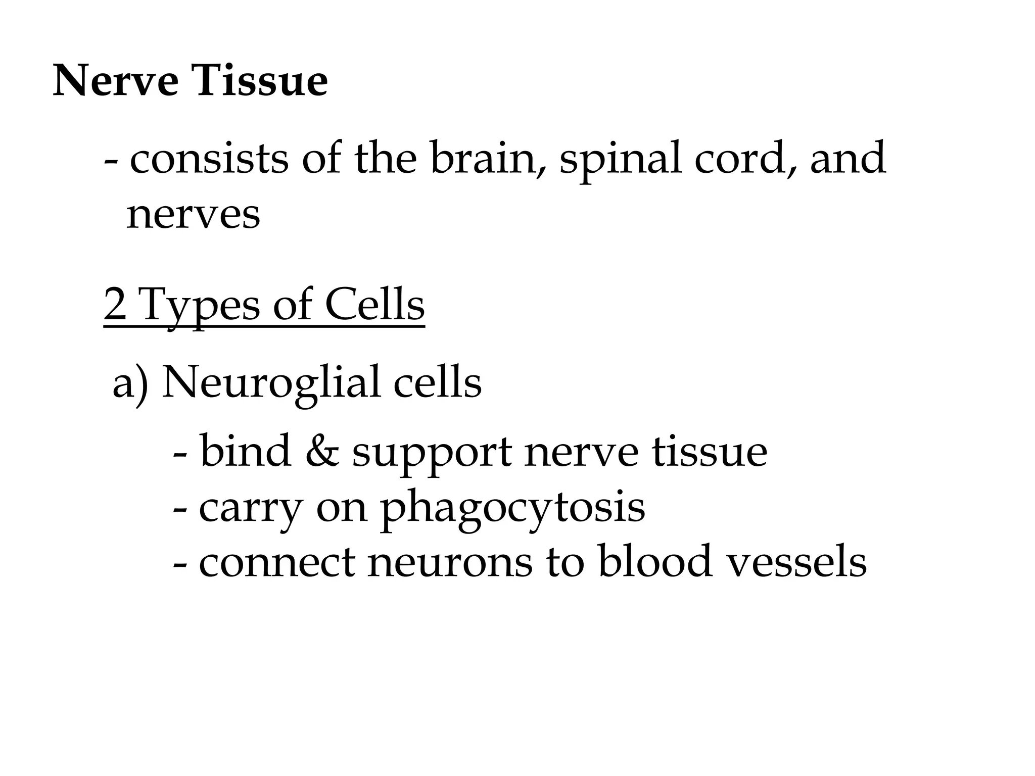 Physiology Ch 5 Lecture Notes | PDF