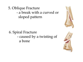 Physiology ch 7 lecture notes | PPT