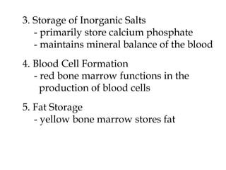 Physiology ch 7 lecture notes | PPT
