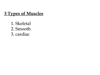 Physiology CH 8 lecture notes | PPT