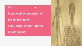physiology chap 1 Functional Organization of the Human Body.pptx