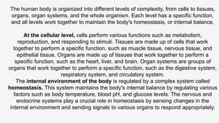 physiology chap 1 Functional Organization of the Human Body.pptx