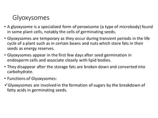 Introduction to crop physiology | PDF