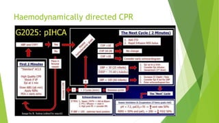 Physiology Directed CPR | PPTX | First Aid | Injuries