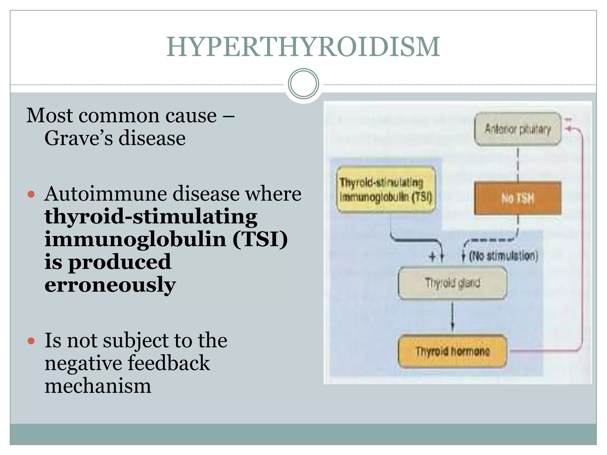 PHYSIOLOGY OF THE THYROID GLAND | PPTX