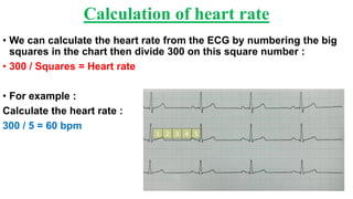 Physiology (electrocardiography ecg) | PDF