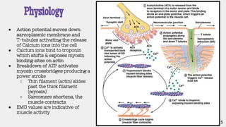 Measuring the Effects of High Intensity, Short Duration Upper Body ...