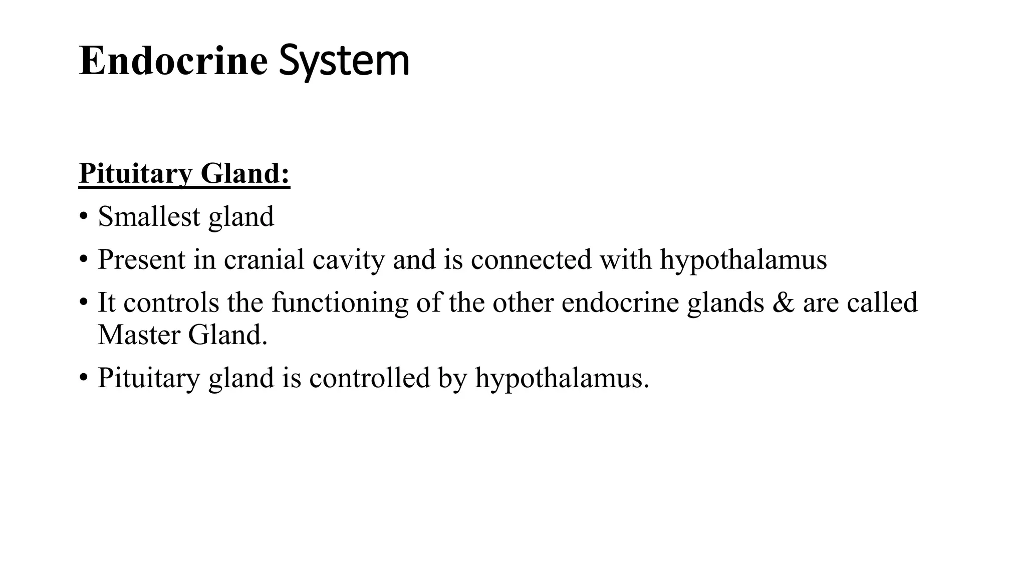 Physiology endocrine system[1].pptx