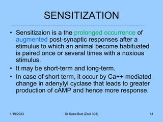 Physiology_Endocrinology.ppt