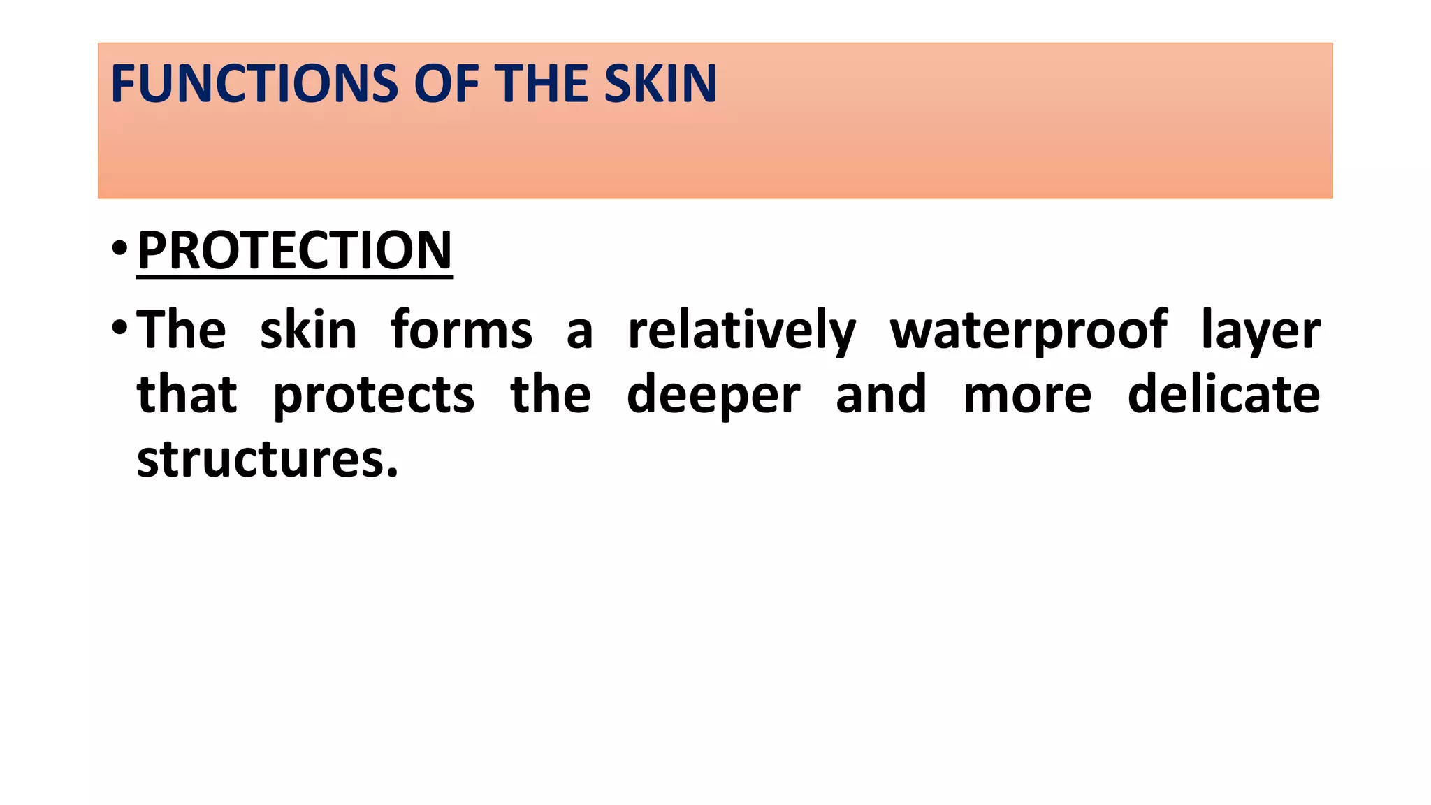 Physiology functions of the skin | PPT