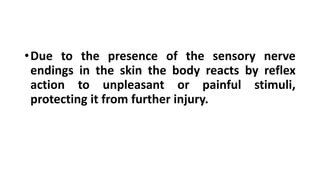 Physiology functions of the skin | PPTX