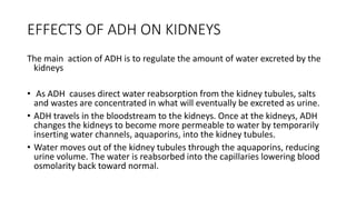 PHYSIOLOGY GROUP 2 ASSIGNMENT (2).pptx