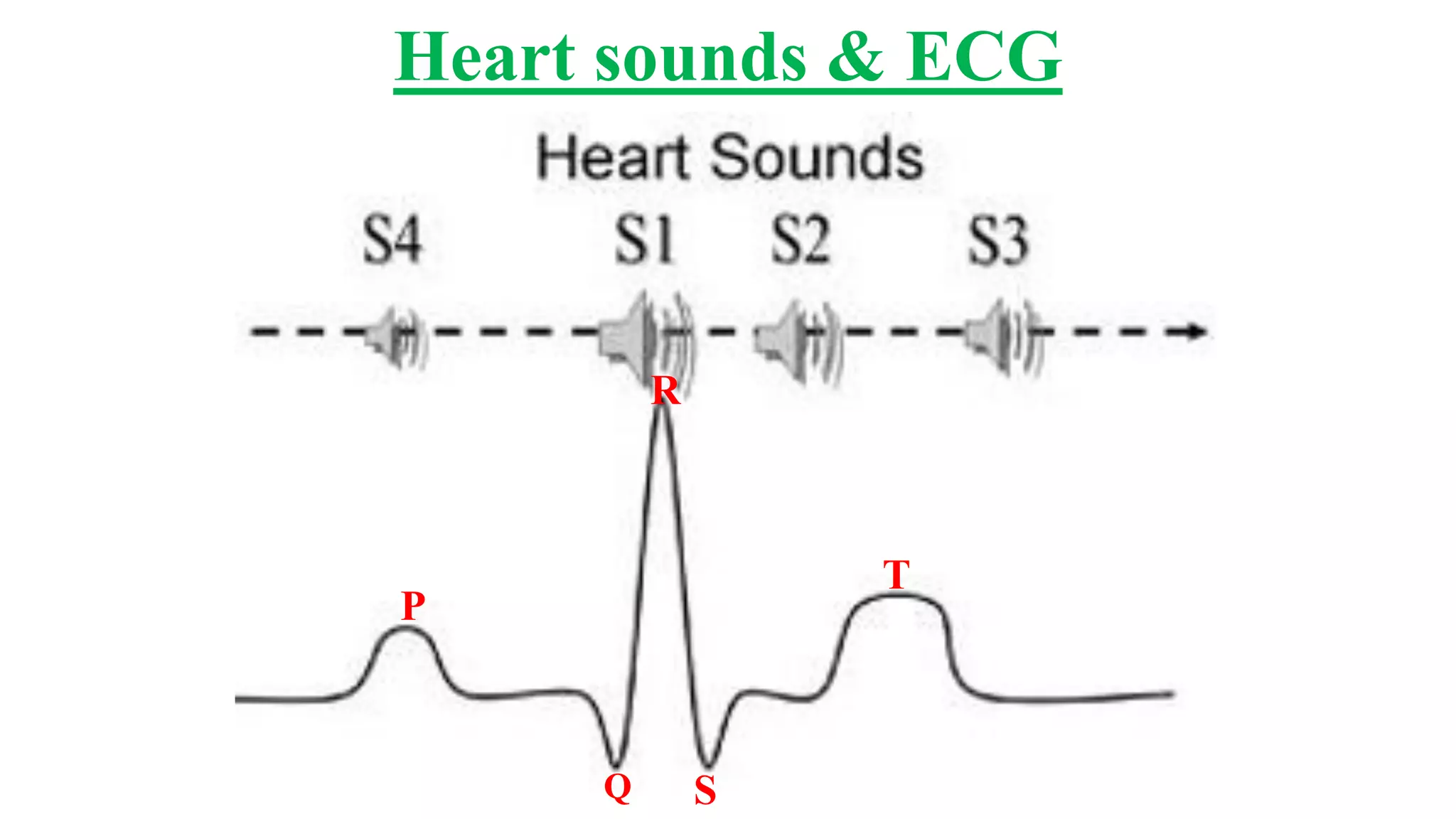 Physiology (heart sounds) | PDF