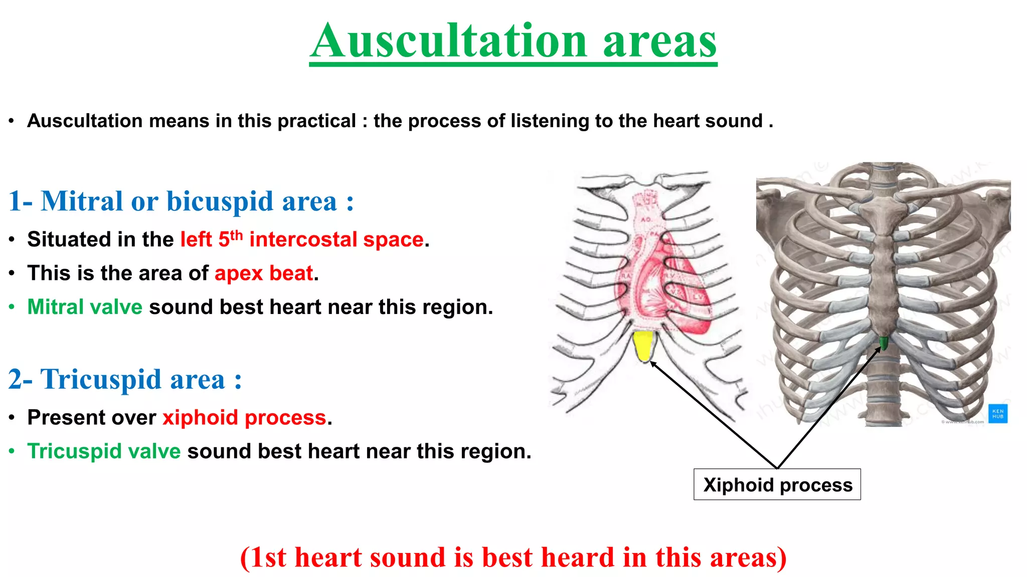 Physiology (heart sounds) | PDF