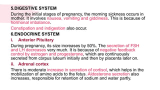 MENOPAUSE AND PREGNANCY.pptx/maternal changes during pregnancy | PPTX
