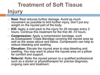 Chapter - 7 Physiology & injuries in sports for Class XII | PPTX