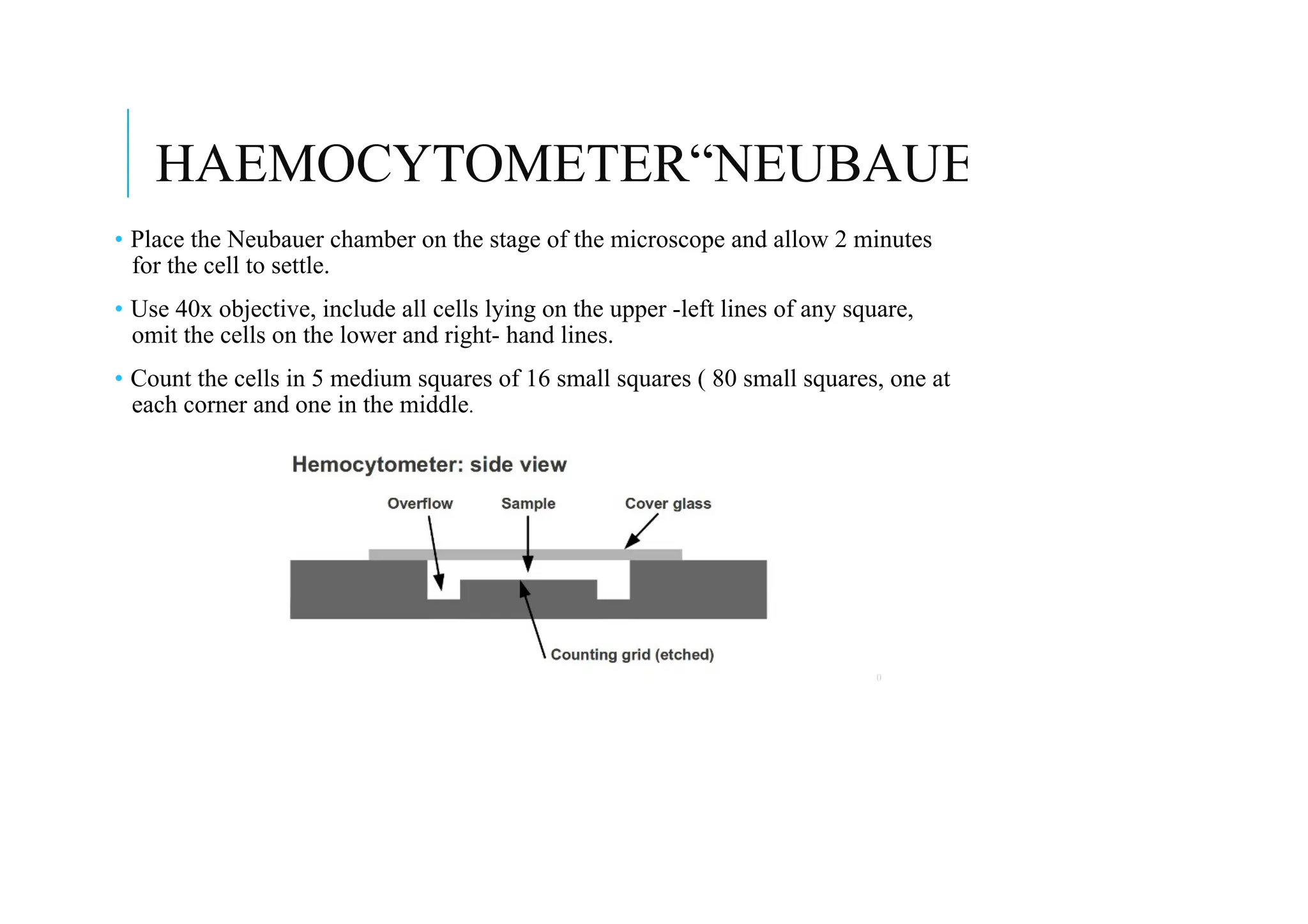 physiology lab 333.ppt 2.pdf how to count red cells | PDF