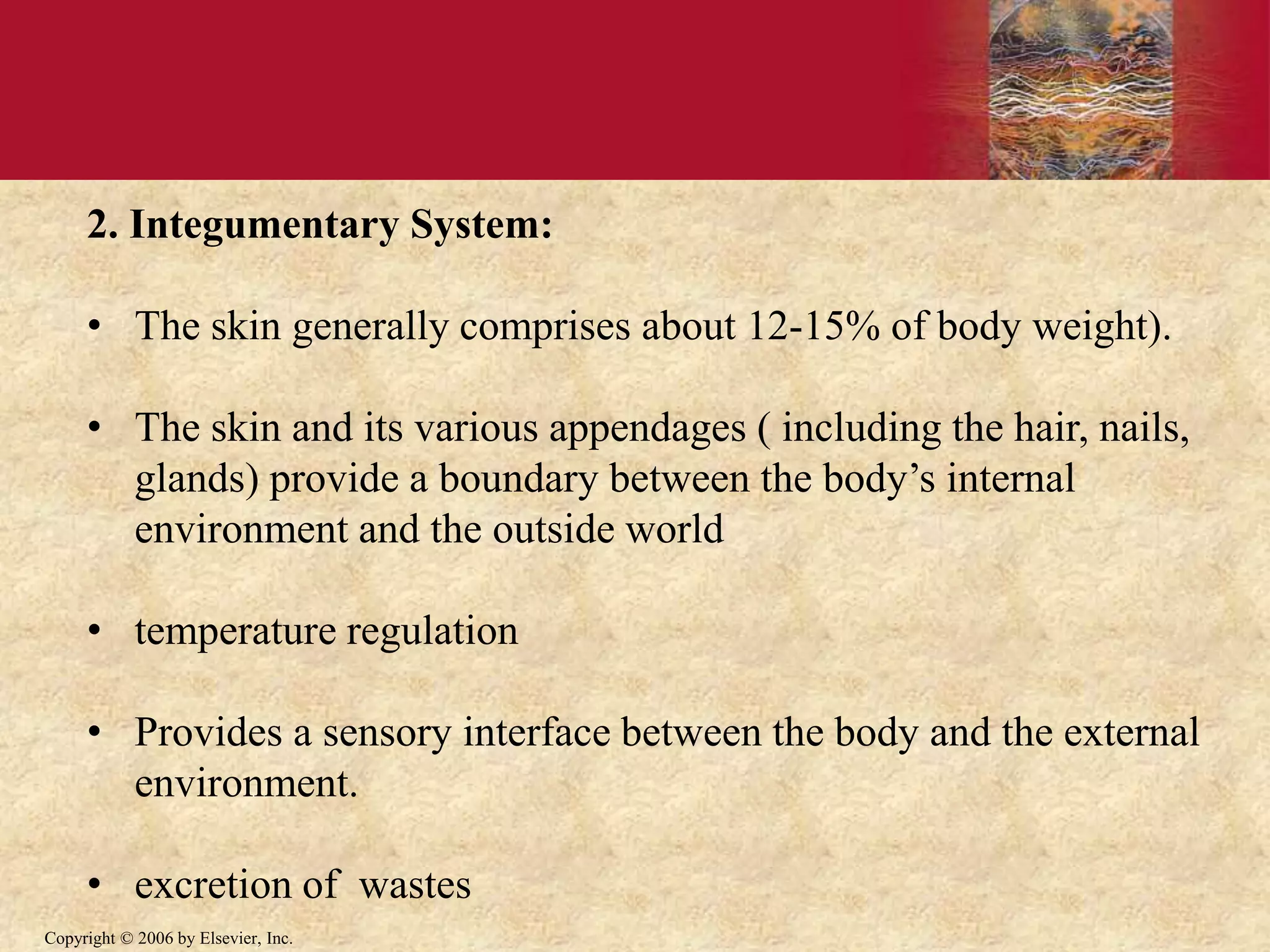 functional organization of the human body | PPTX