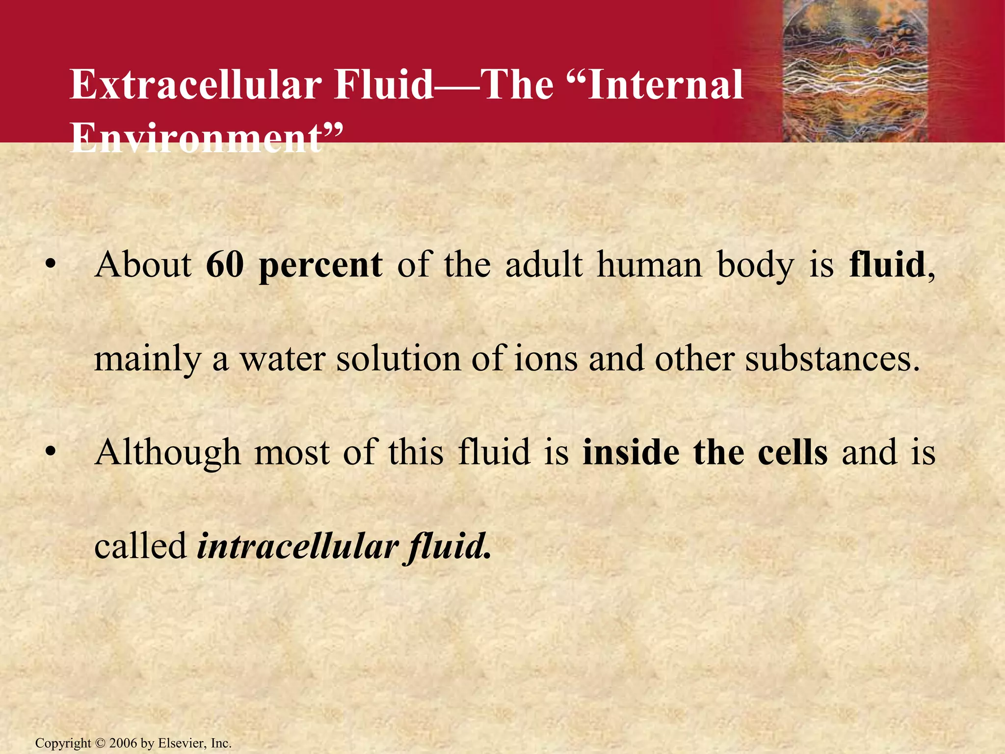 functional organization of the human body | PPTX