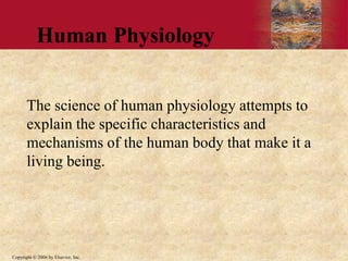 functional organization of the human body | PPTX