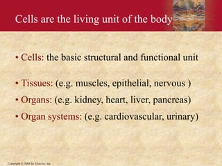 functional organization of the human body | PPTX