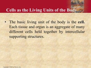 functional organization of the human body | PPTX
