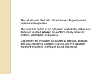 cytoplasm and its organelles | PPTX