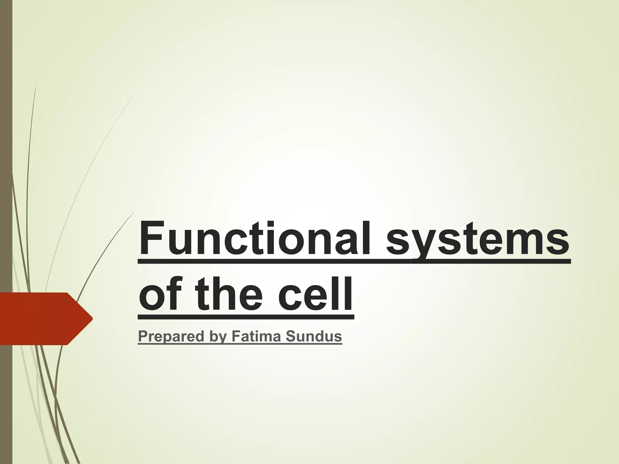 functional system of the cell | PPT