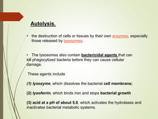 functional system of the cell | PPTX