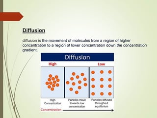 functional system of the cell | PPTX