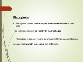 functional system of the cell | PPTX
