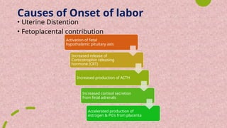Physiology & Mechanism of Normal Labour.pptx
